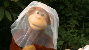 Milkshake Monkey - Channel 5