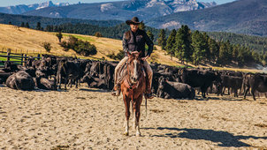 Yellowstone - Channel 5